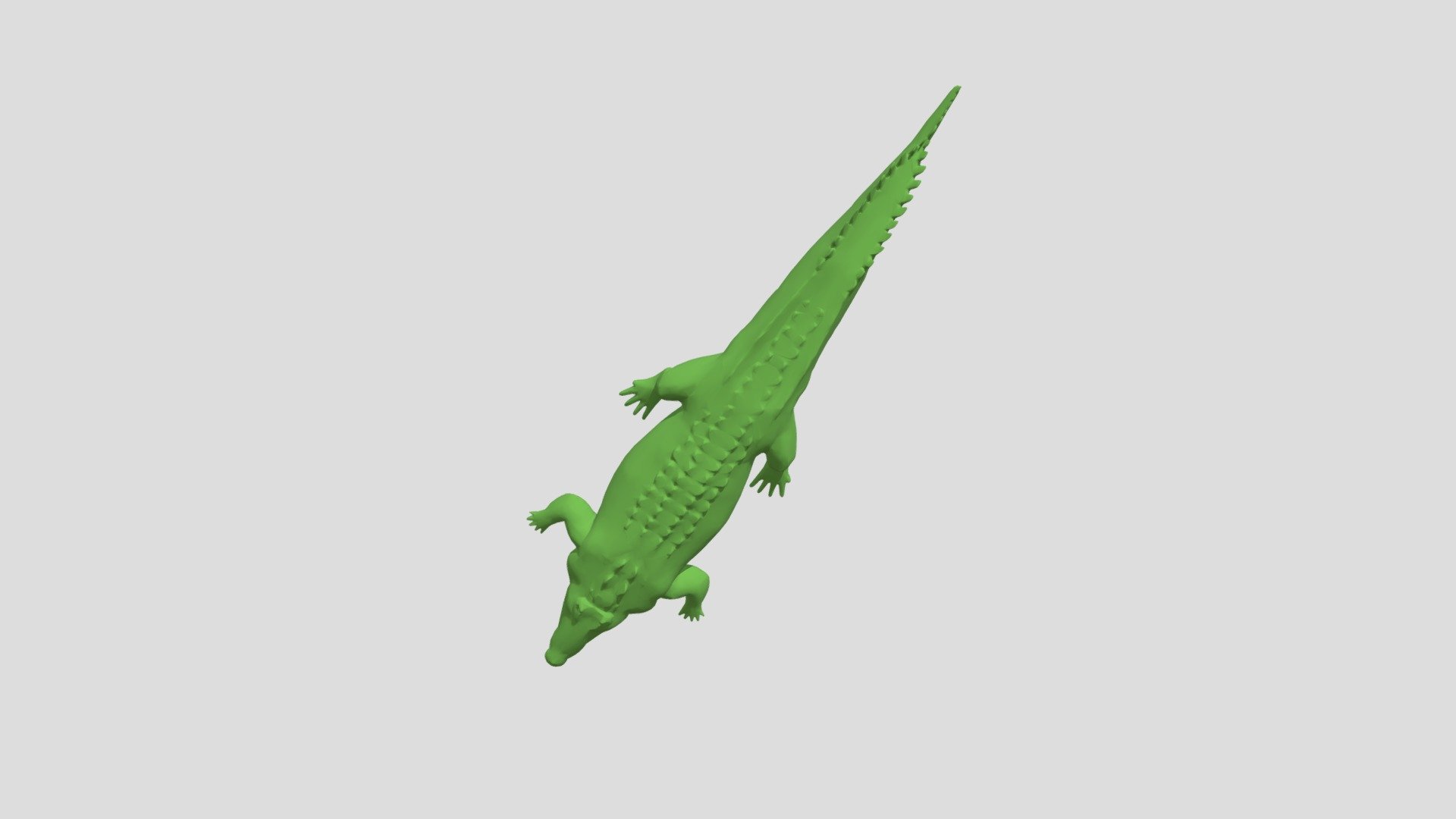 Florida Everglades Crocodile - Download Free 3D model by Shawn 684 M ...