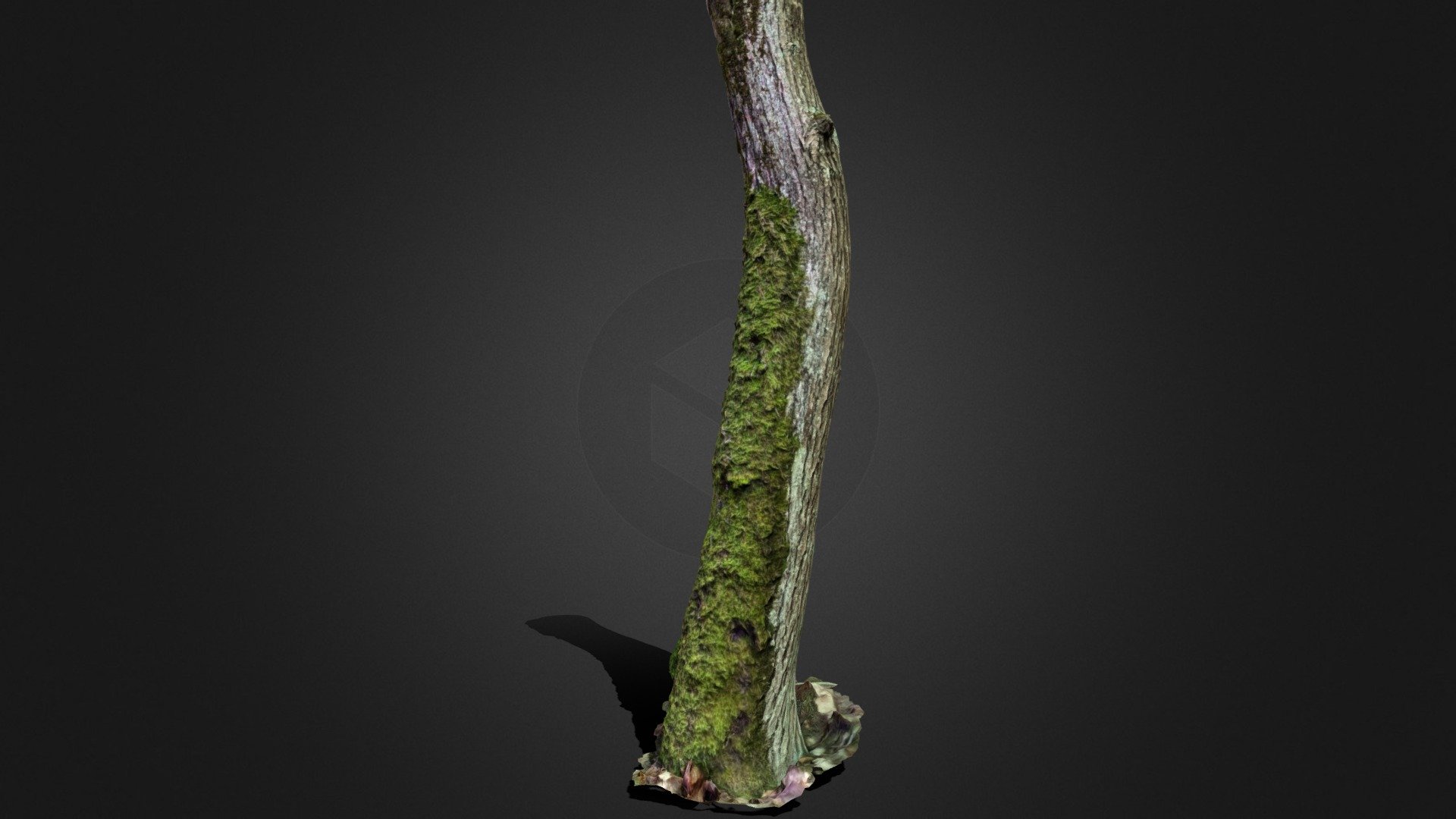 Mossy tree - Download Free 3D model by ZiemniaQ [86198ed] - Sketchfab