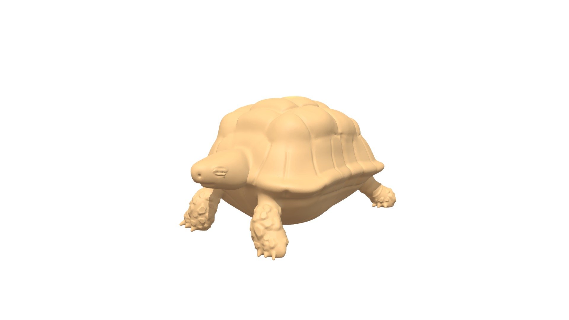 turtle - 3D model by sonosaki.collection [8629f04] - Sketchfab