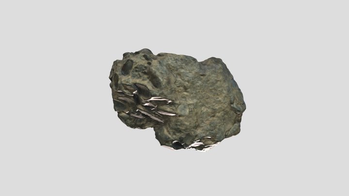 magnusweijers - Sketchfab