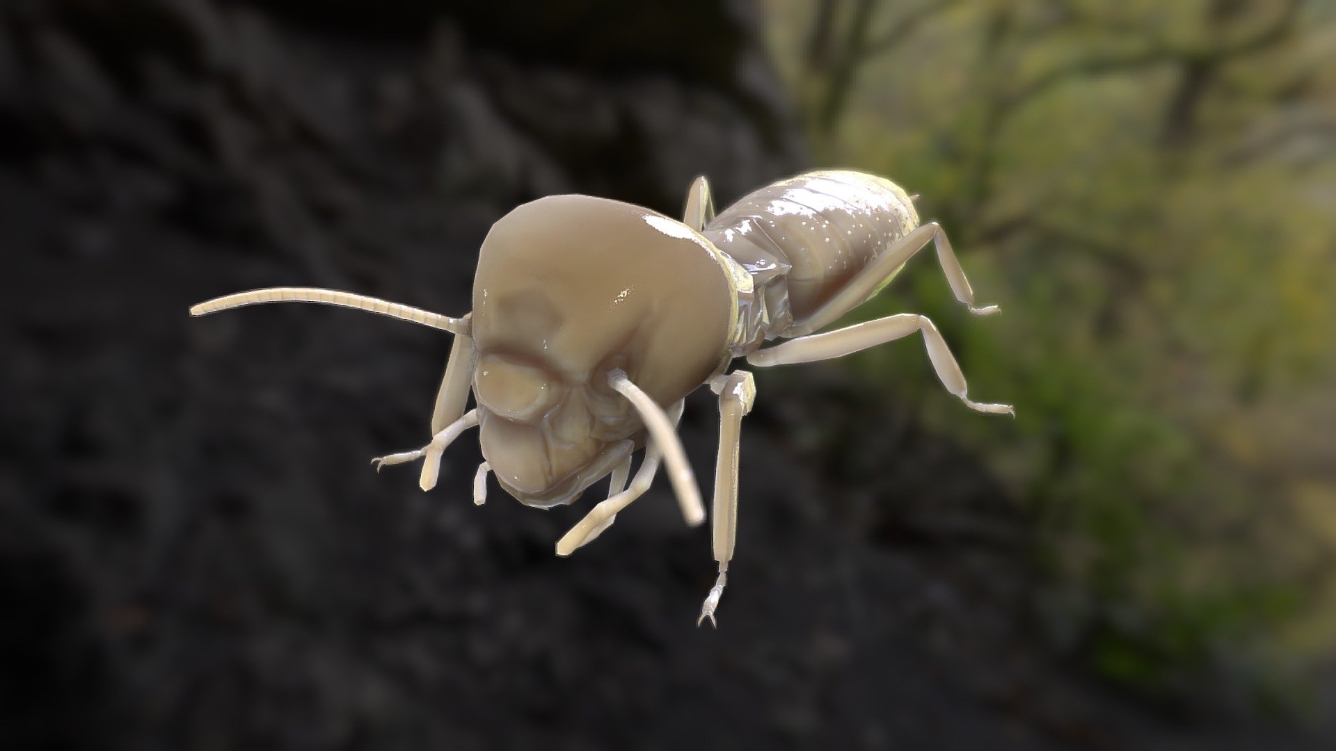 Termite_Worker - Buy Royalty Free 3D model by Boycraft [862e1bd ...