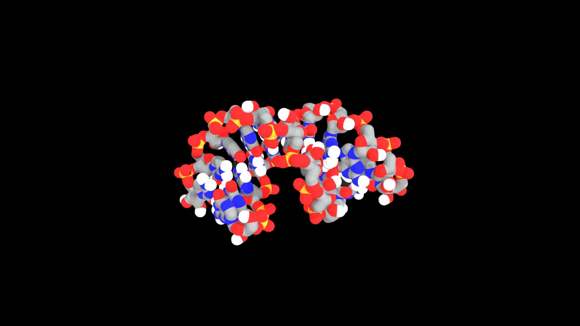 RNA - Short Helix - Download Free 3D model by lavnguyen [862e1f1 ...