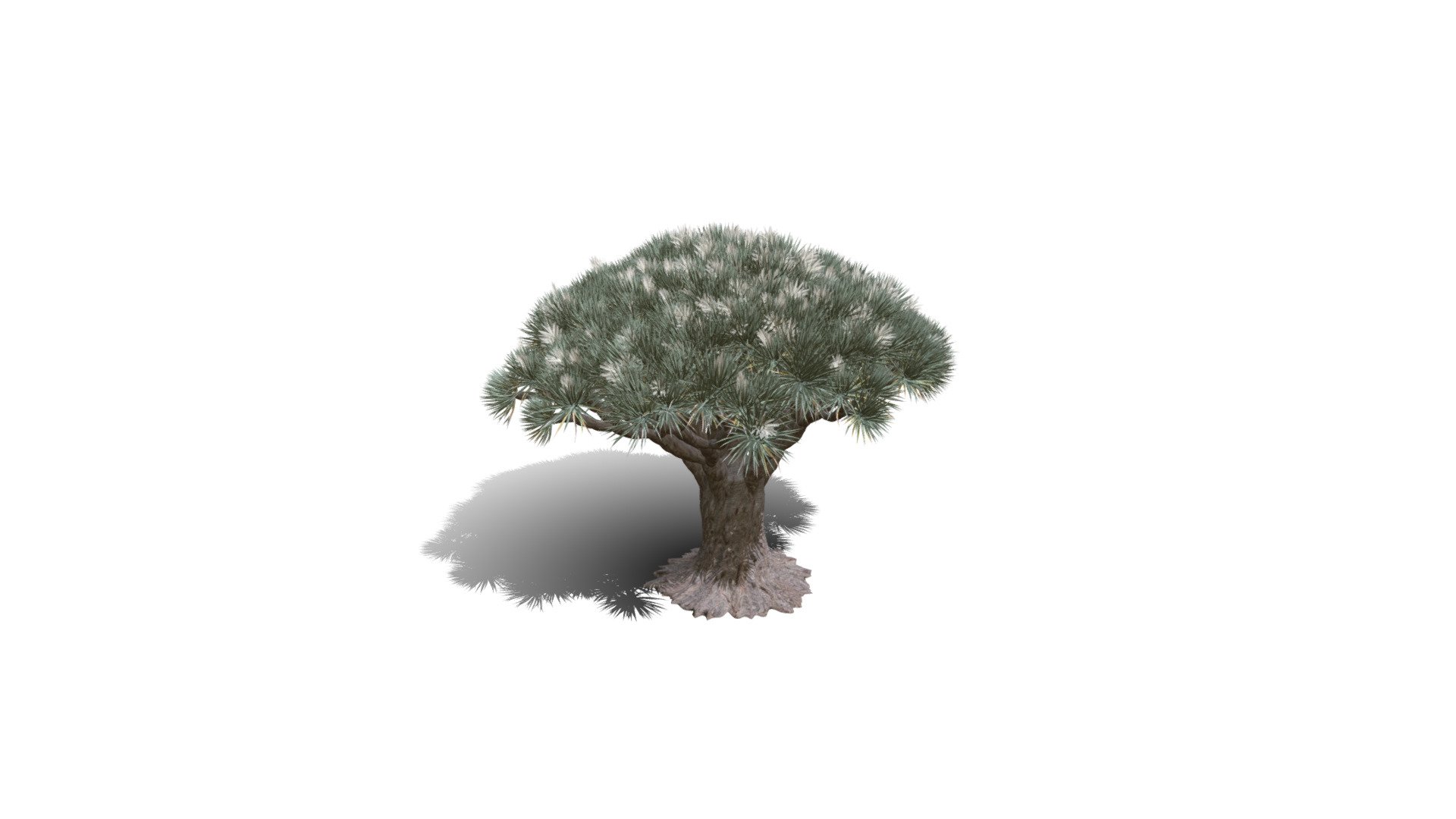 Realistic HD Dragon tree (15/50) - Download Free 3D model by ...