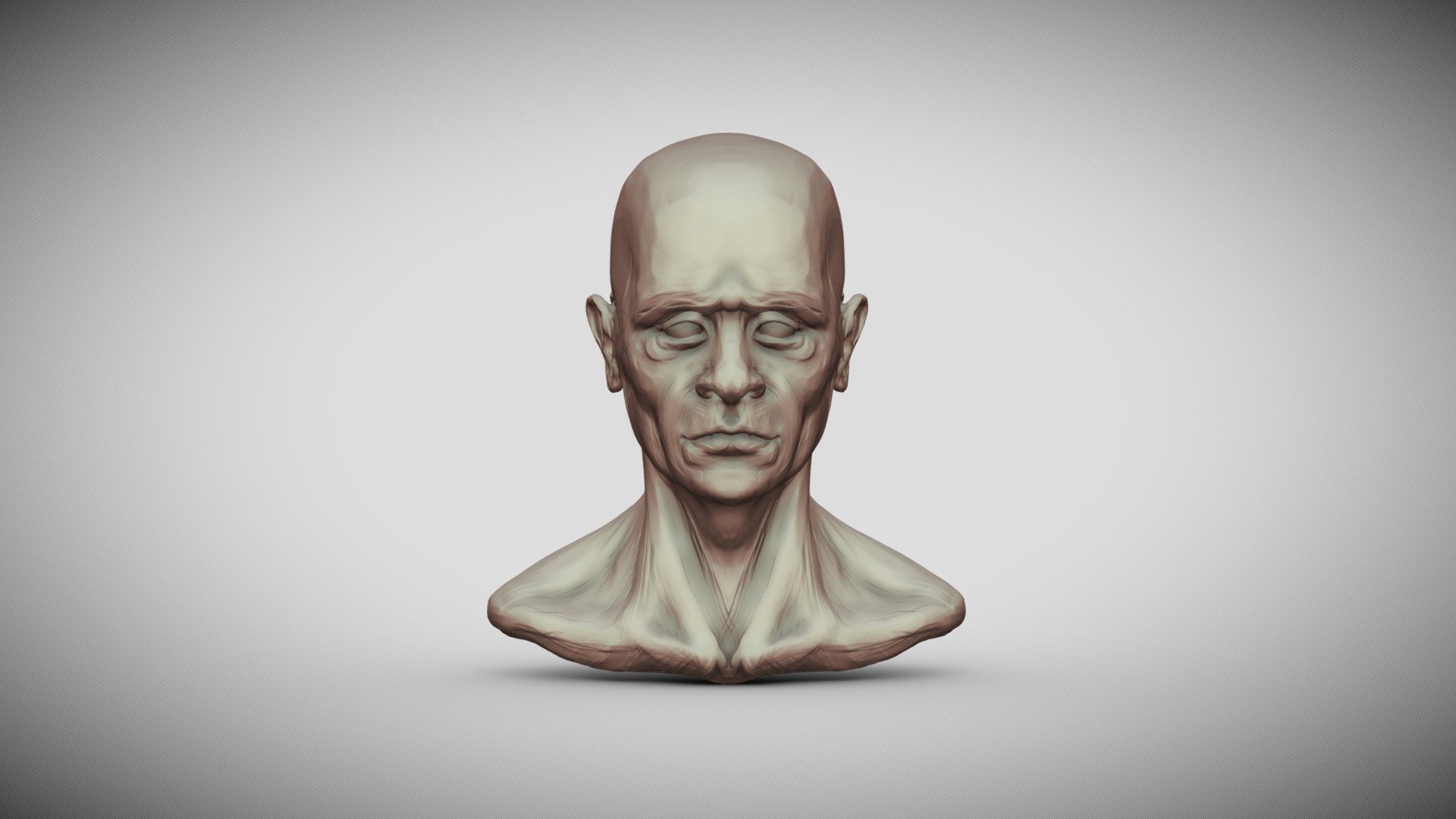 Head Practice 1 - 3D model by Aronelius (@stefanicemanuel) [8637ffc ...