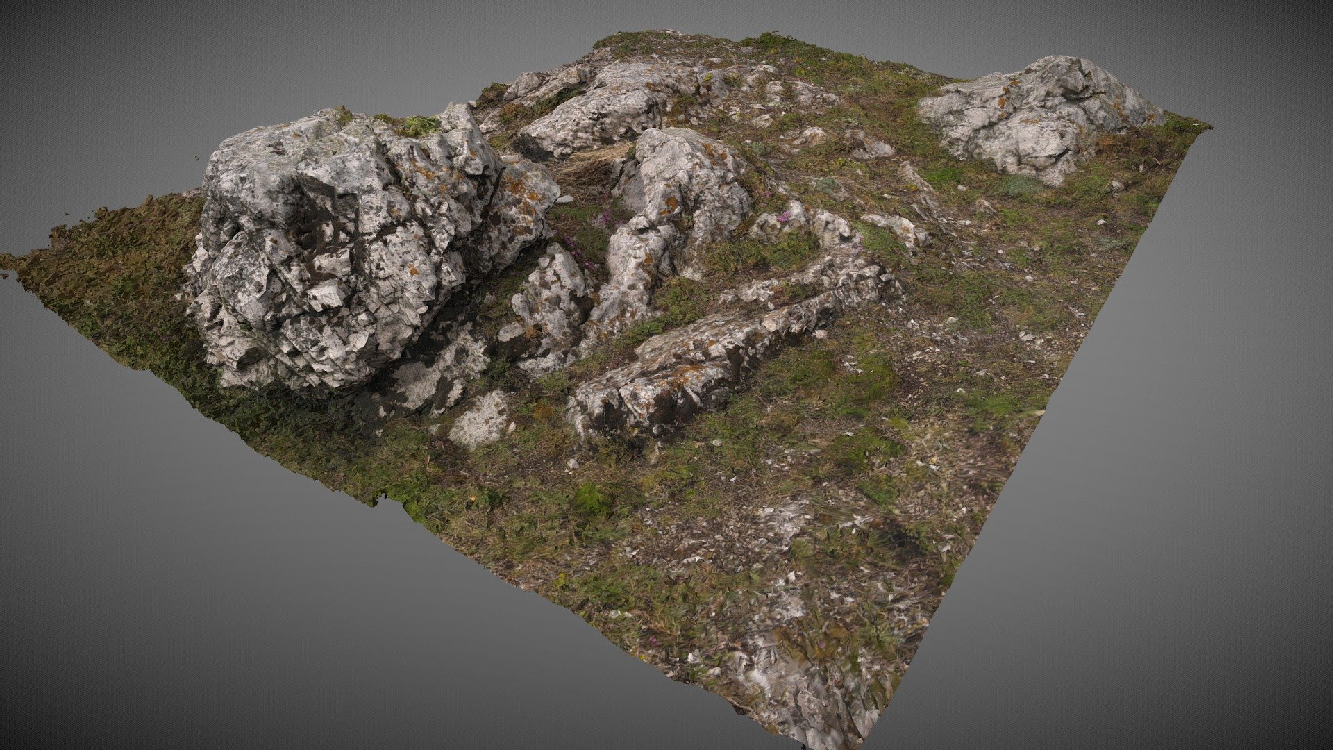 Természeti formák | Natural forms - Download Free 3D model by ...