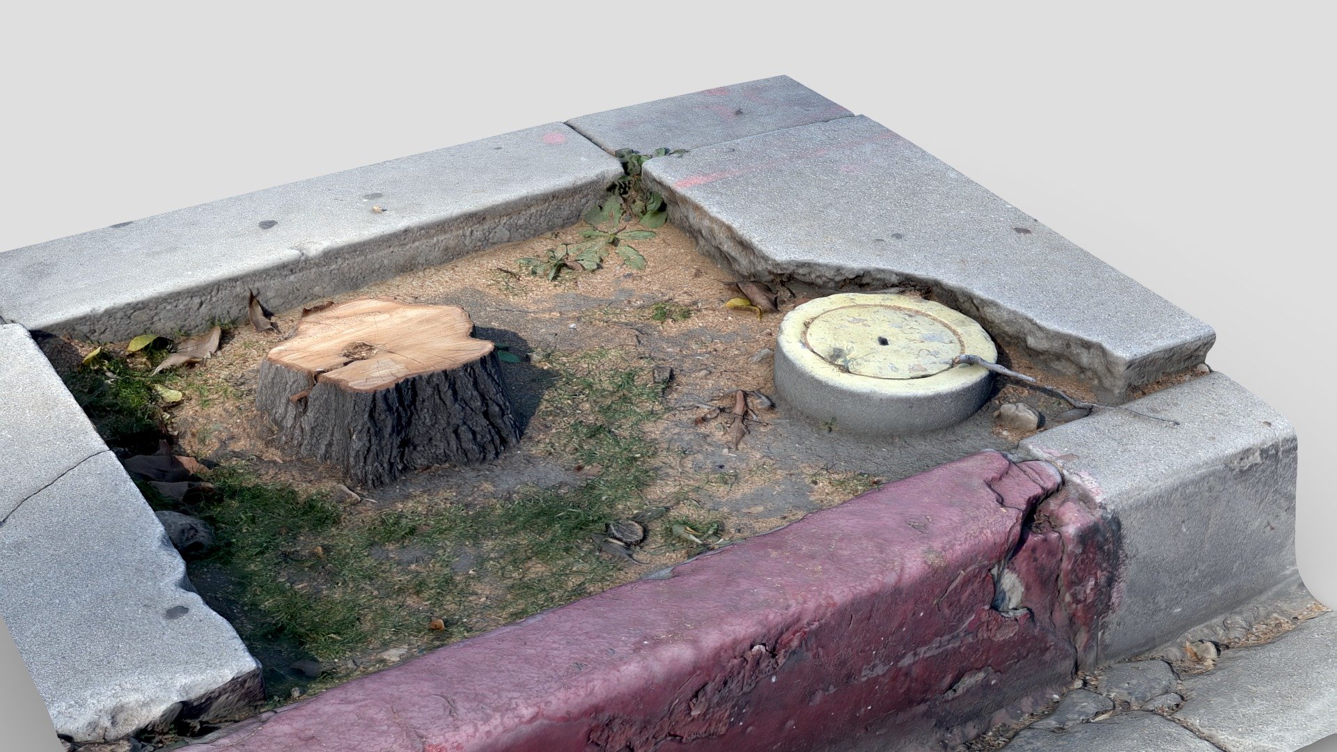 Curbside Stump - Download Free 3D model by SmallpolyArt [863f400 ...