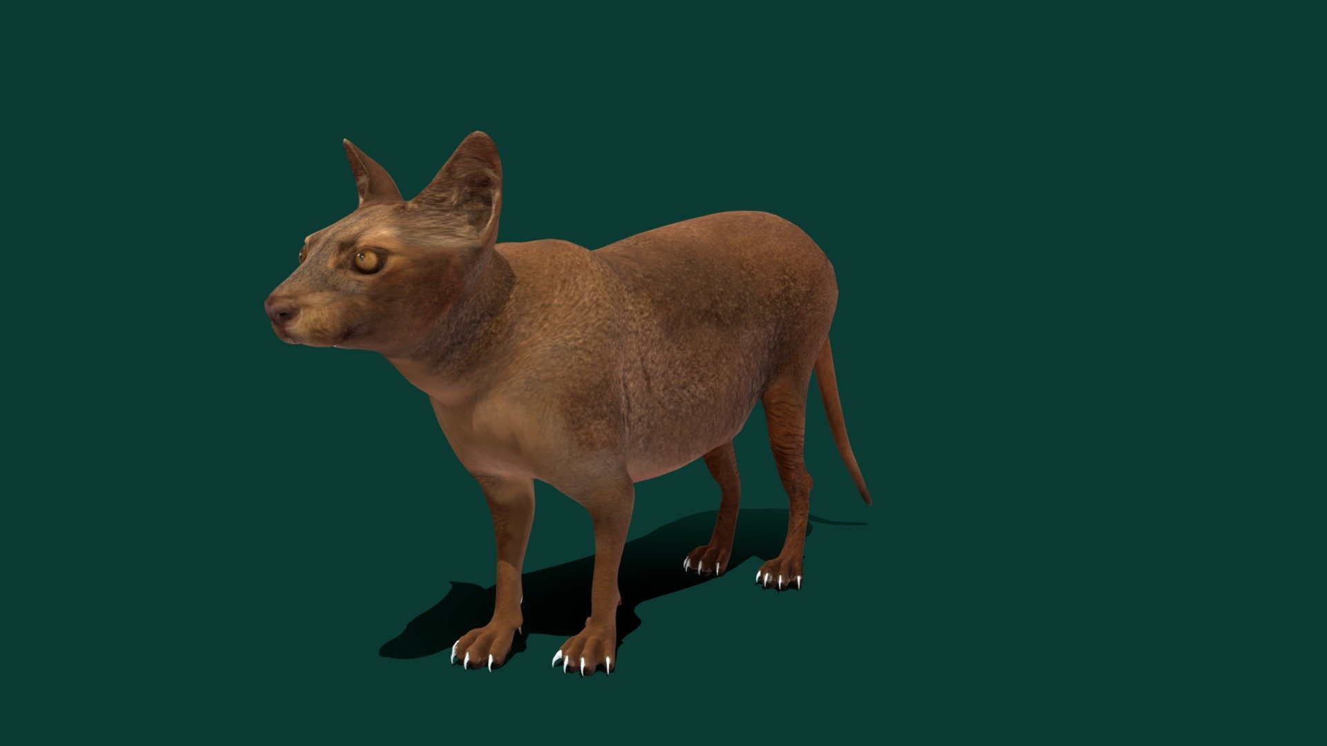 Fossa Animal (Endangered) - Buy Royalty Free 3D model by ...