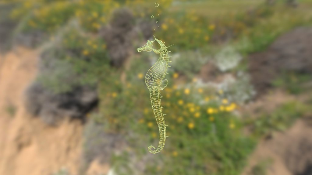 Wire sea horse - 3D model by inenai [8648c66] - Sketchfab
