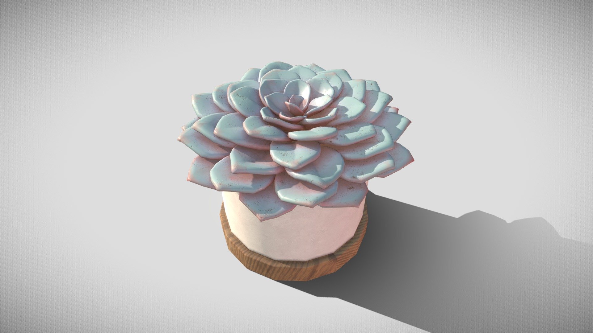 Succulent plant - Download Free 3D model by Nomeda Repsaite ...