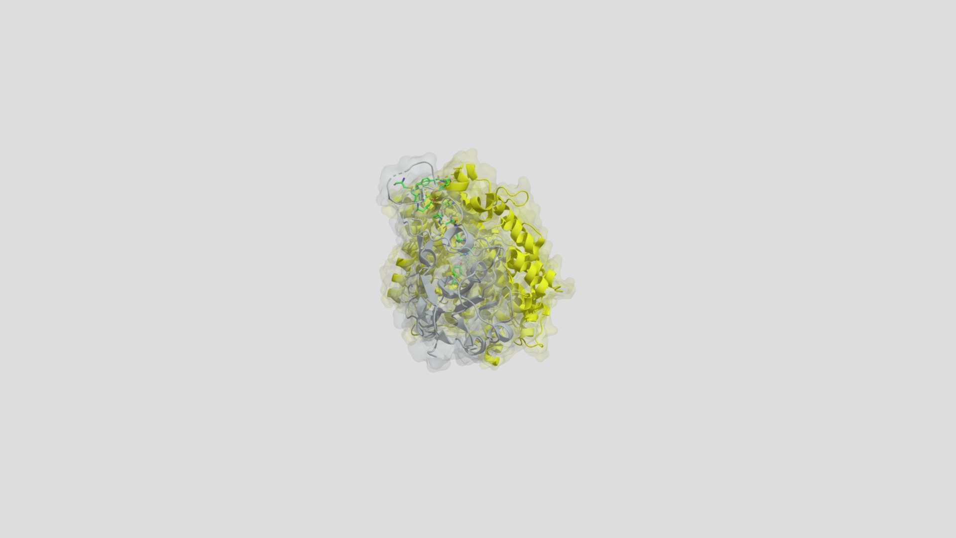 The Viral Spike Protein and the ACE2 Receptor - 3D model by rosekuru ...