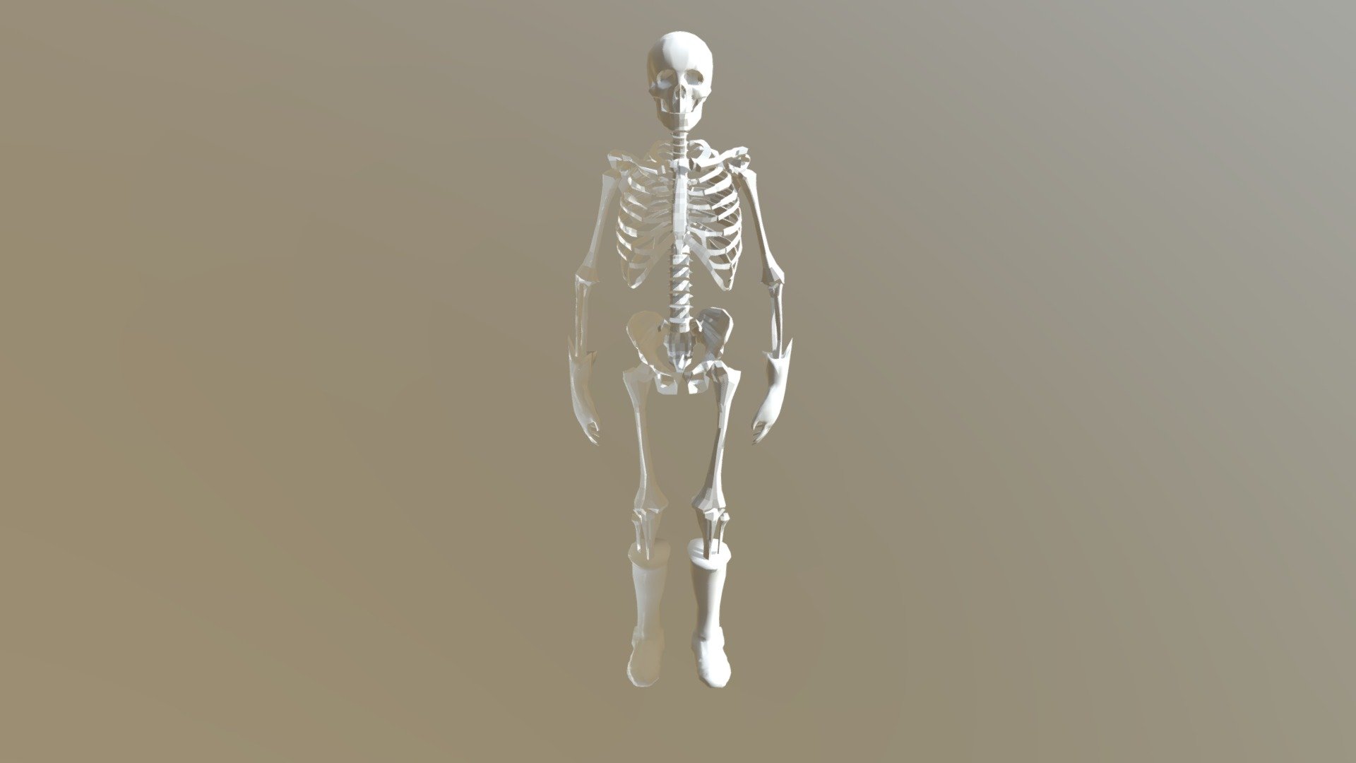 Skeleton - 3D model by johnny2017 [8659722] - Sketchfab