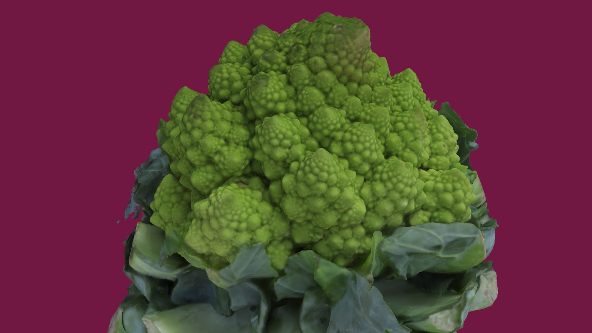Romanesco Cauliflower2 - Buy Royalty Free 3D model by John Toeppen ...