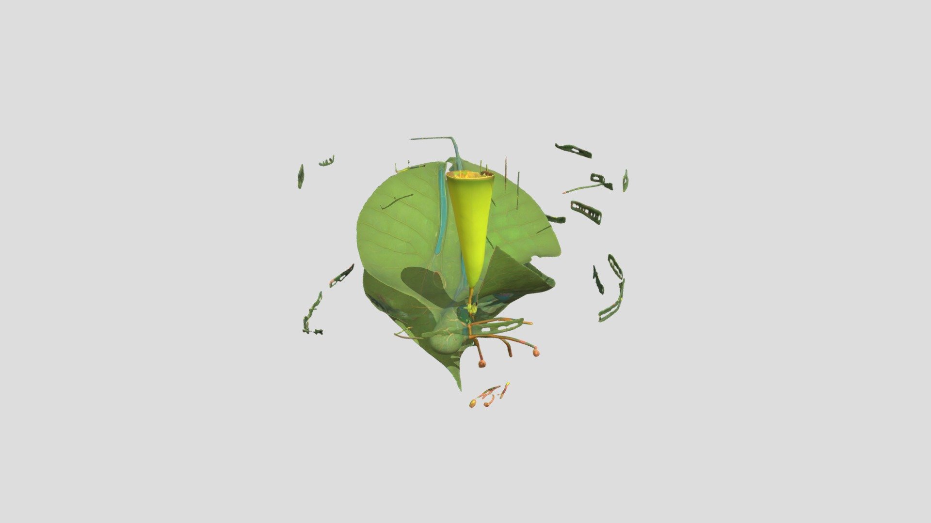 Photosynthesis Diagram - 3D model by vukhangan [865dd4f] - Sketchfab