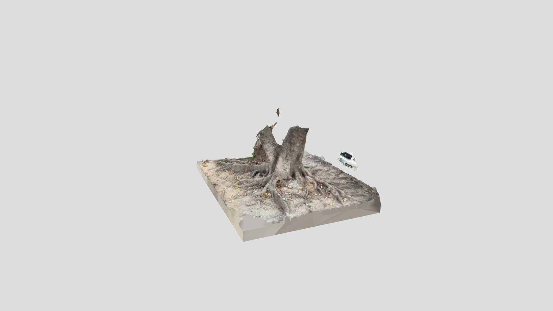 Tree Trunk with Roots - Download Free 3D model by blubottlestudio ...