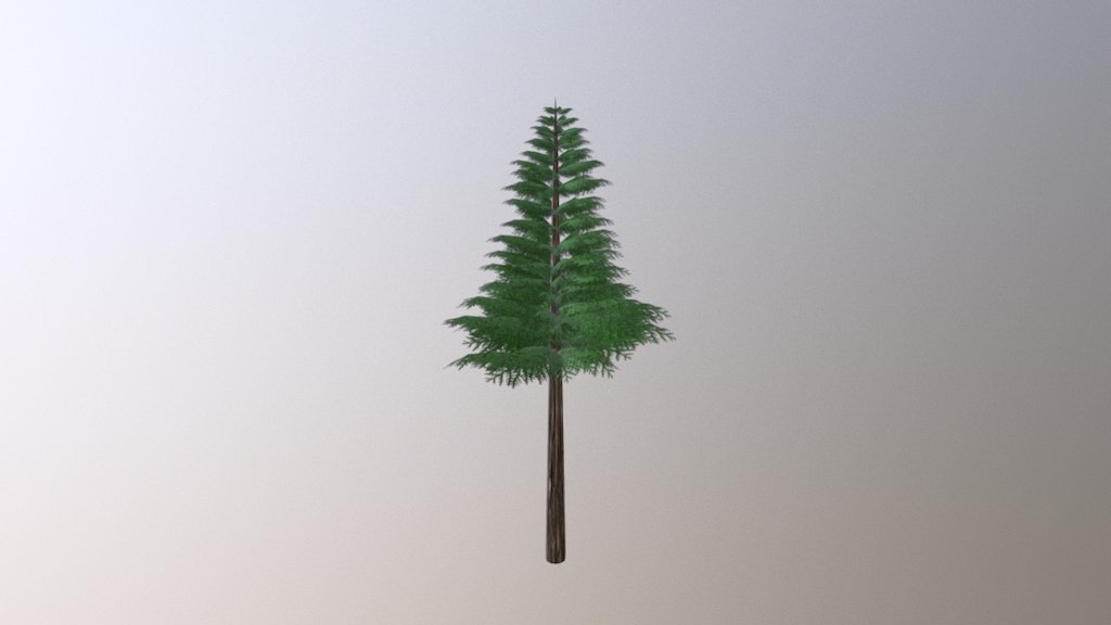 Fir Tree Mesh - 3D model by Jamiegregory78 [8663dde] - Sketchfab