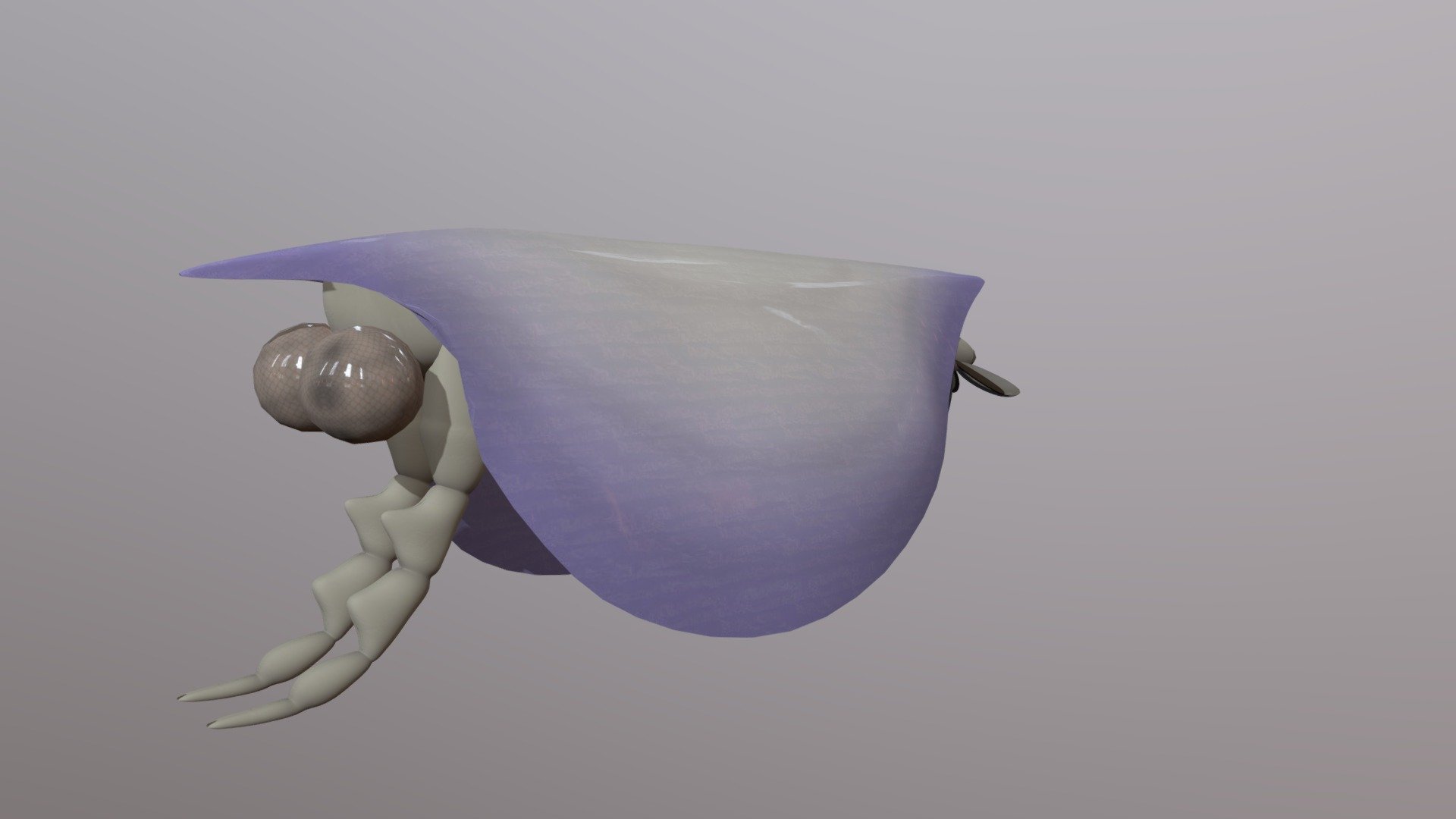 Isoxys acutangulus - 3D model by Ilovedumbphones (@phonevideosyt ...