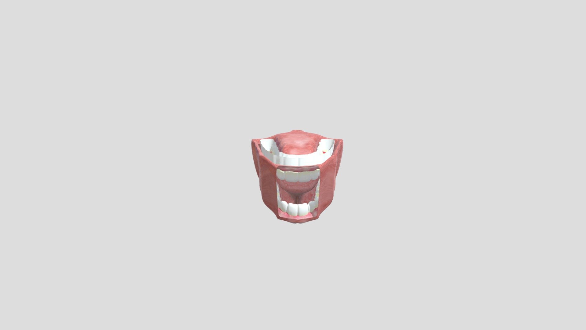 Denture - Download Free 3D model by jojota (@jasp.com) [866e8b0 ...