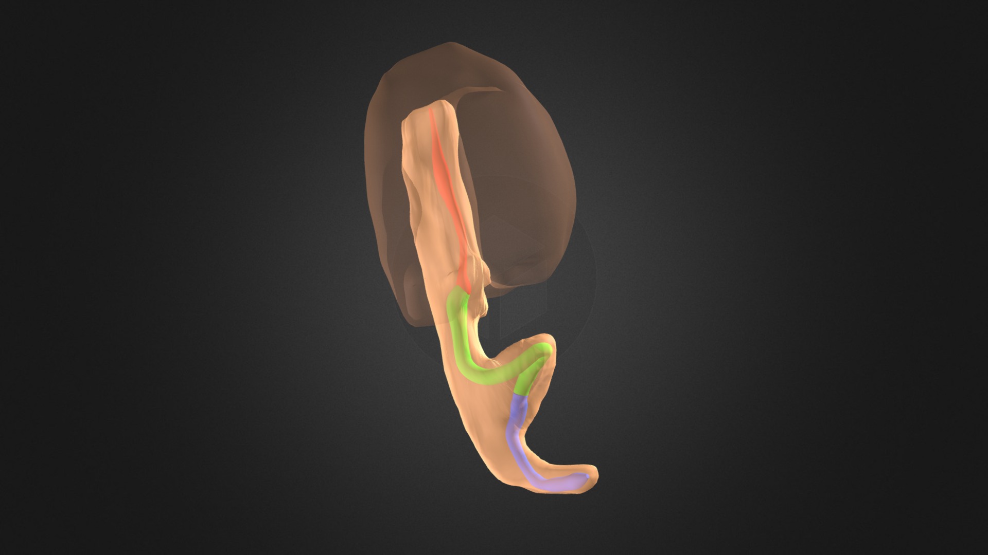 CS15 - 3D model by Dara Walsh (@dara.walsh) [867e84a] - Sketchfab