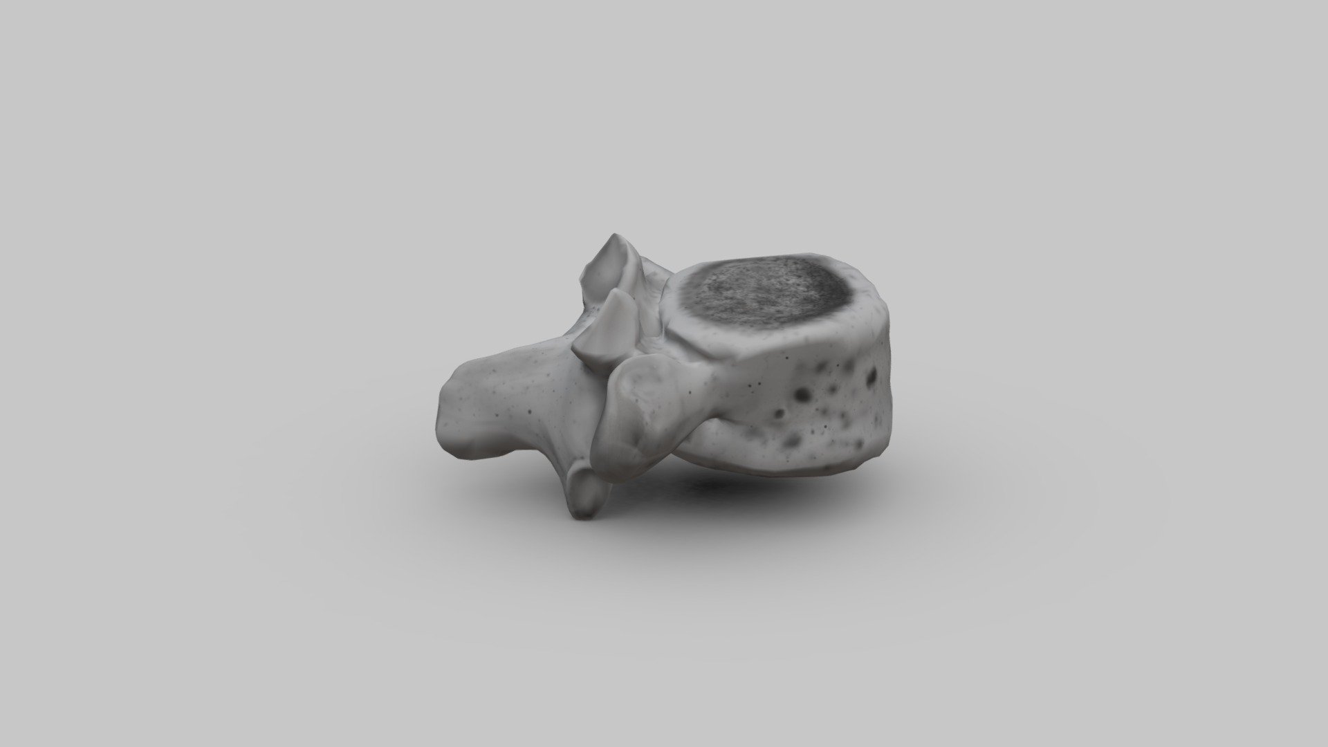 L5 Vertebrae (Low Poly) - 3D model by juman hamza (@jhamza) [868bd73 ...