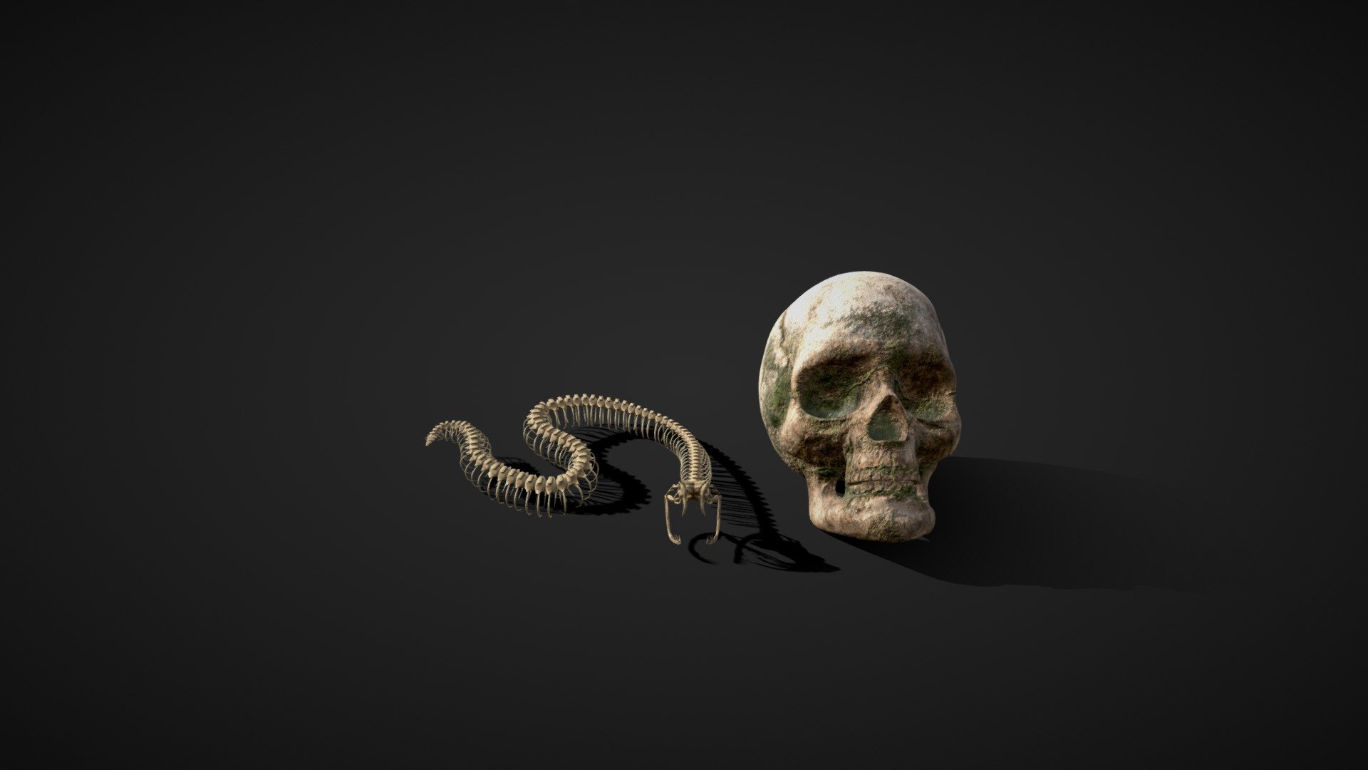 Skull and Snake Skeleton - Buy Royalty Free 3D model by anitatirts ...