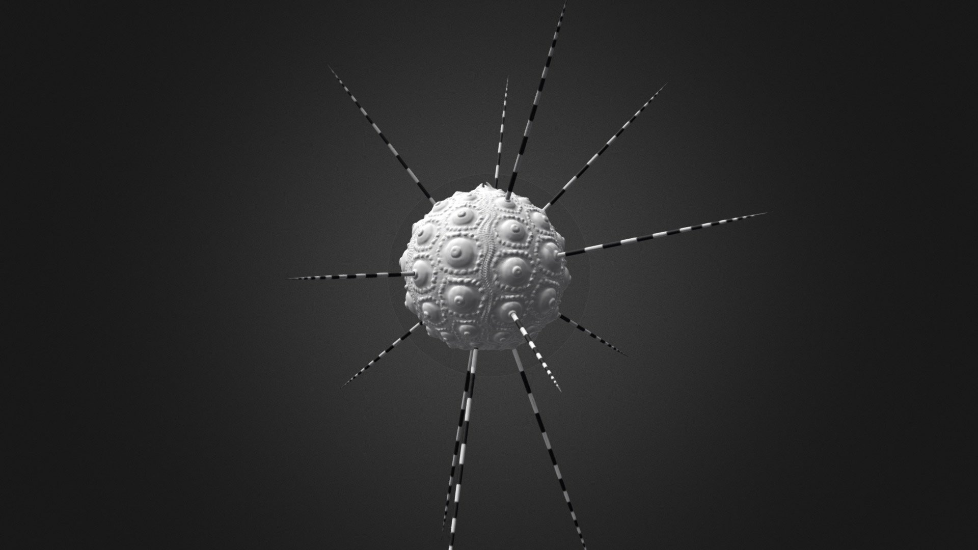 Echinoide - Download Free 3D model by JohanC [86ab98d] - Sketchfab