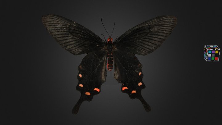 Alcinous 3D models - Sketchfab