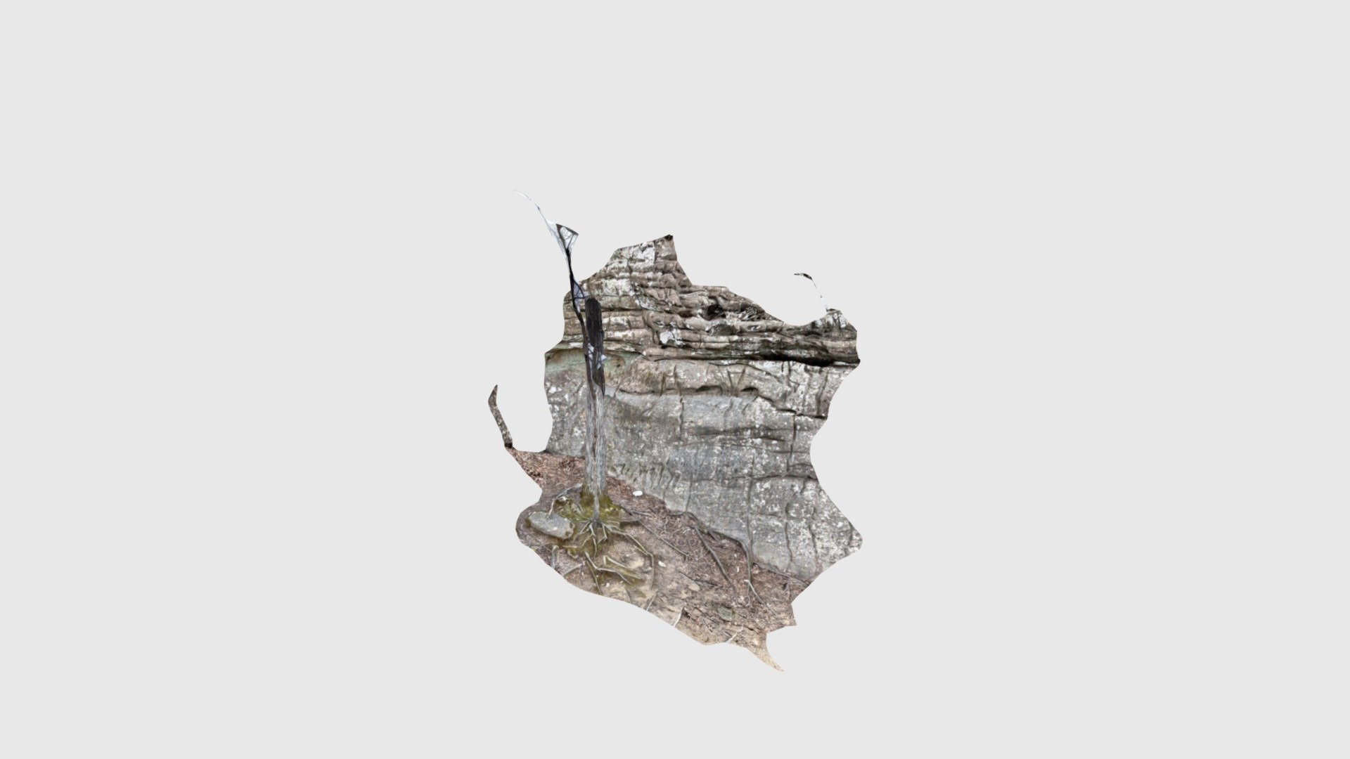 Rock face 1 - Download Free 3D model by Dakotank [86c02f6] - Sketchfab