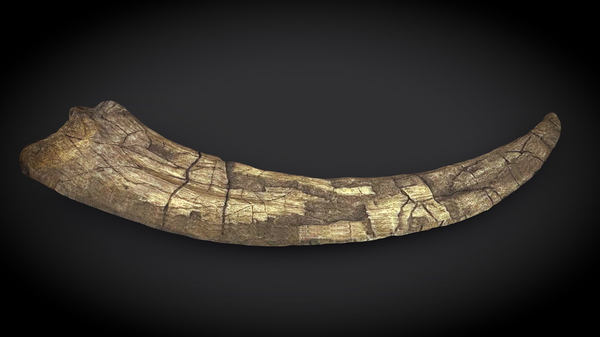 Therizinosaurus cheloniformis middle hand claw - 3D model by Peter Nox ...