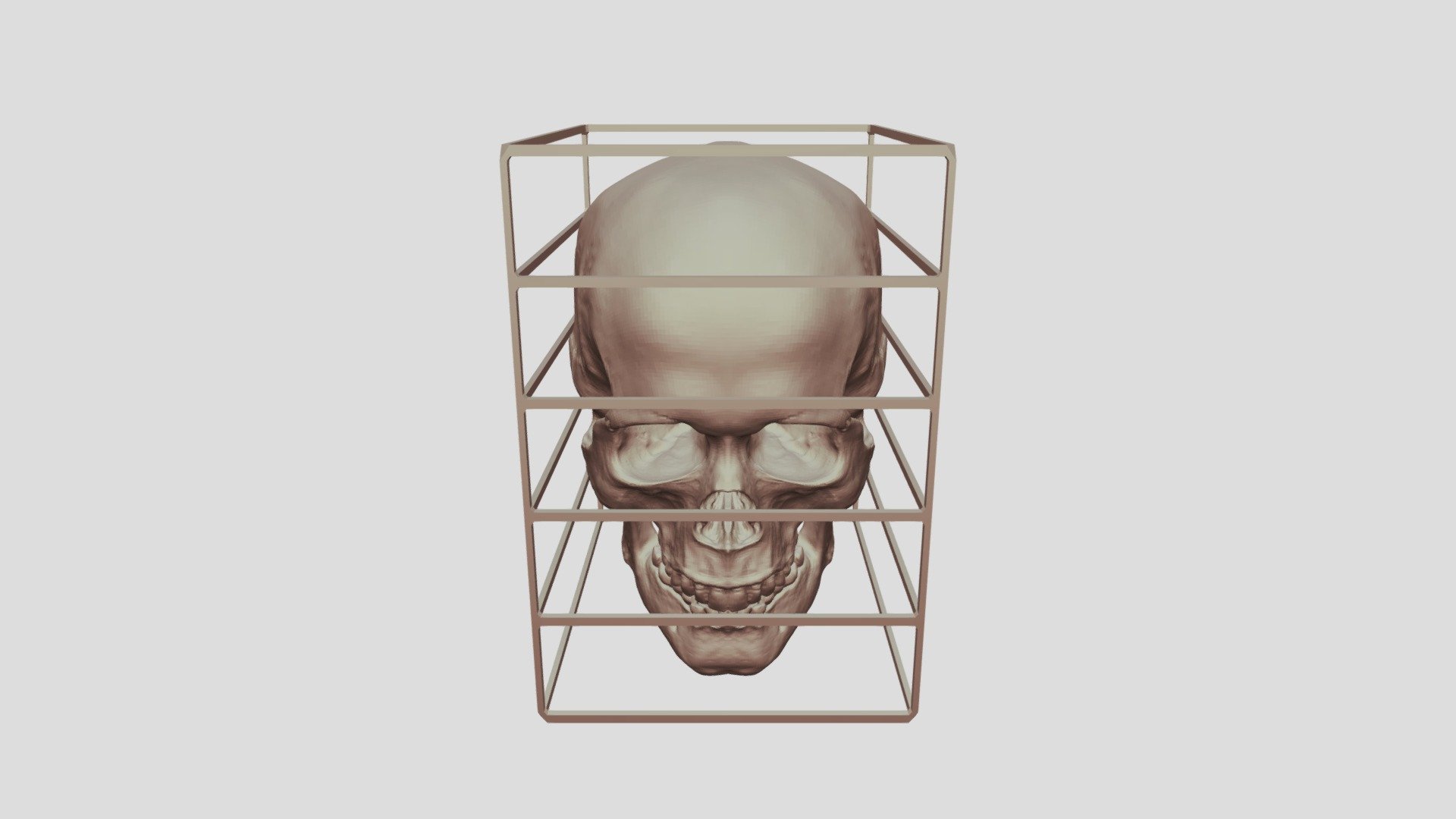 - Skull_2 - 3D model by curse488 [86c7e25] - Sketchfab