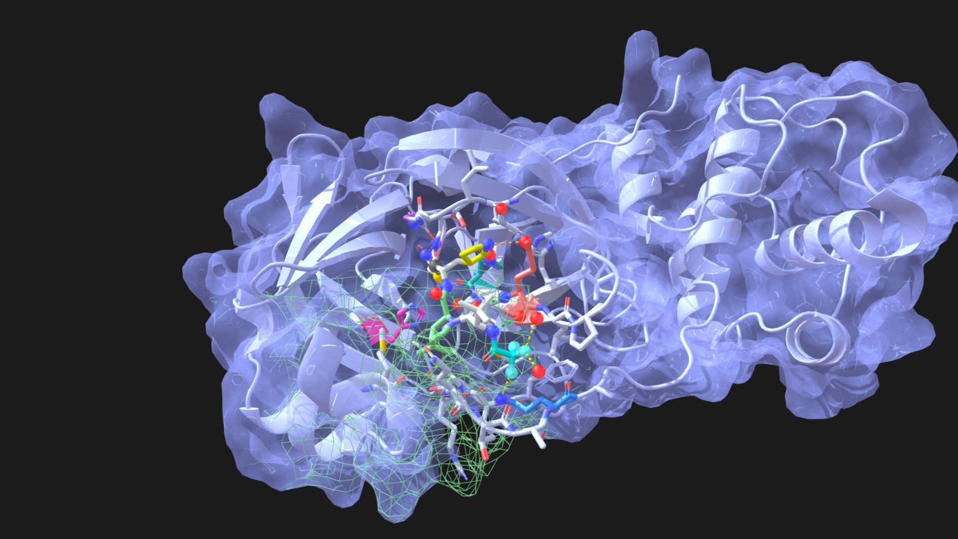 The Remedy feat. SARS-CoV-2 and Nirmatrelvir - 3D model by victoriabain ...