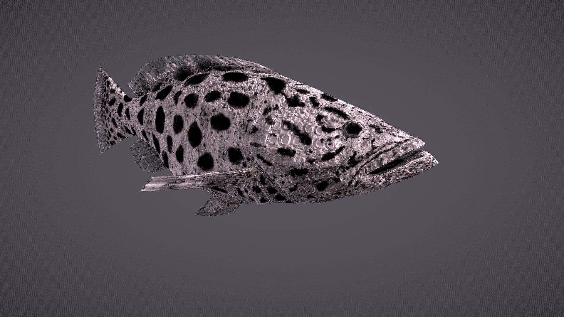 Cod - Buy Royalty Free 3D model by gamoo [86cc48d] - Sketchfab Store