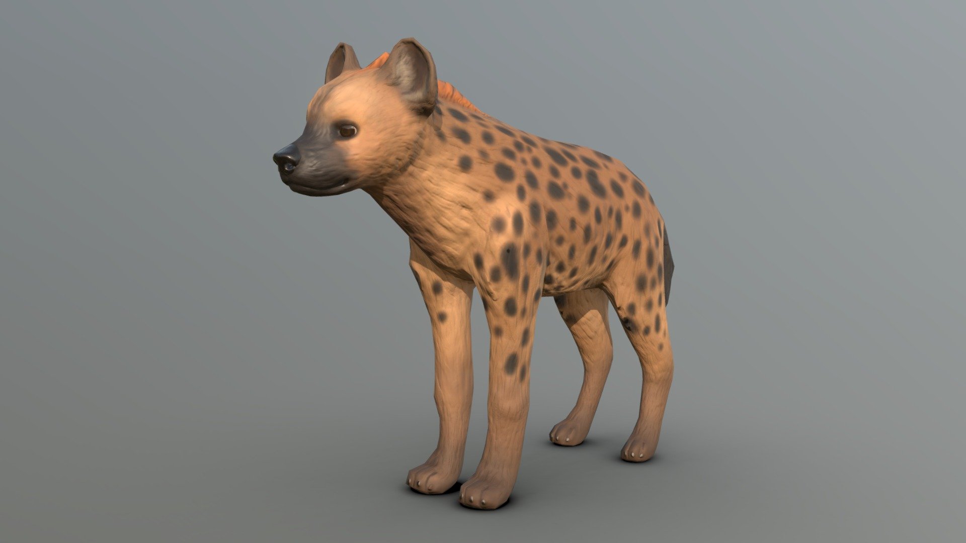 Hyena - Download Free 3D model by SleepyPineapple [86cdfbb] - Sketchfab
