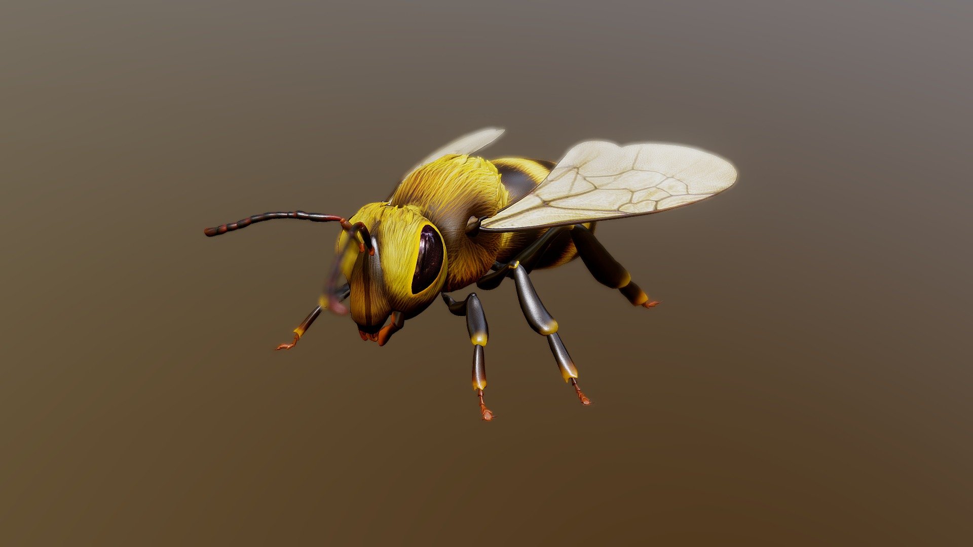 Bee - 3D model by zyhmjy1994 [86d00fa] - Sketchfab