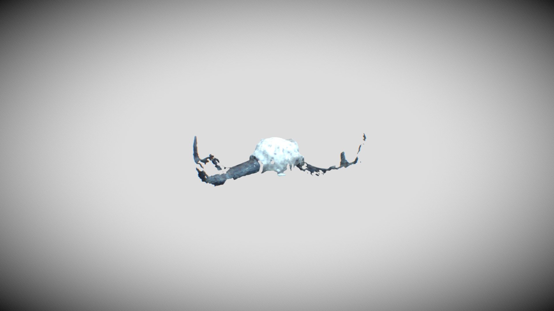 Skull 2 Better - 3D model by adamsgc1 [86d0ddf] - Sketchfab