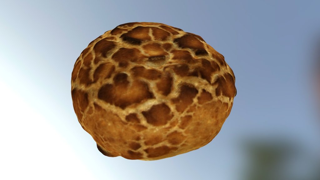 The Tiger Bread - 3D model by amazingdesign [86ec1d7] - Sketchfab