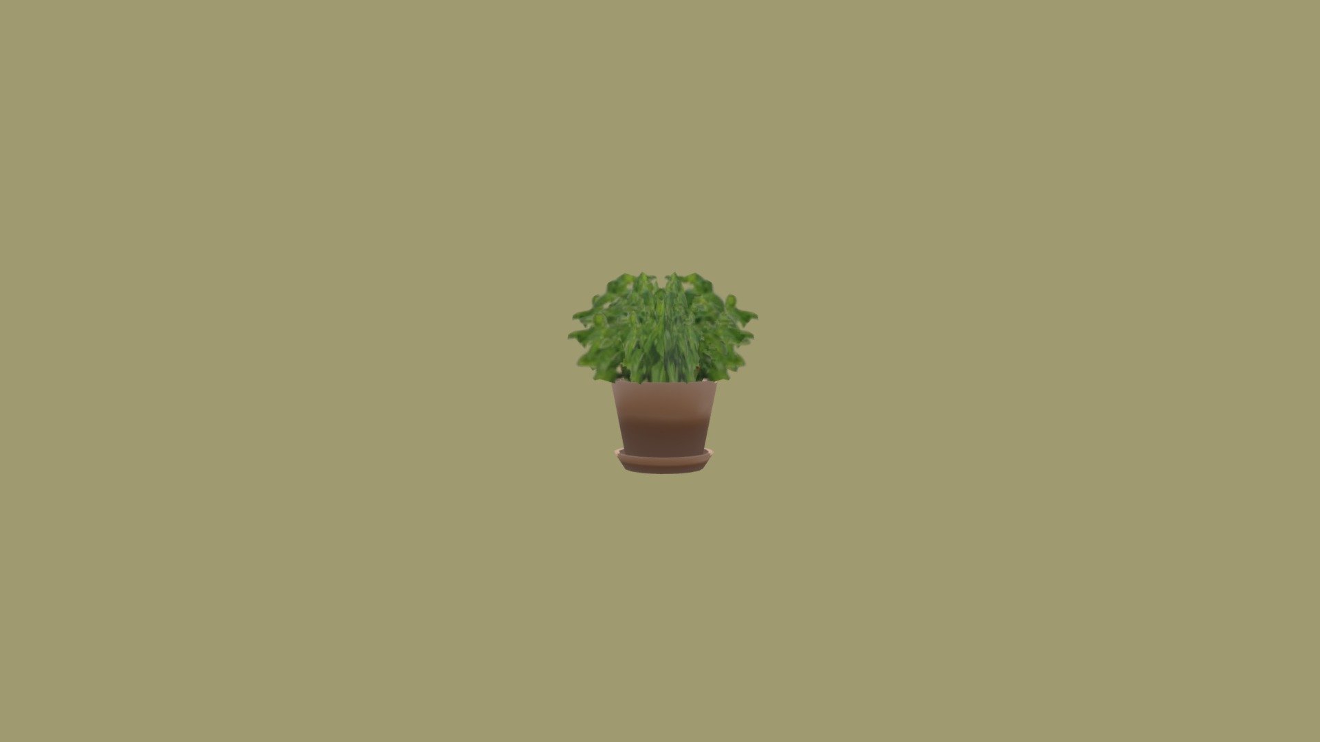 Basil Potted Plant - Medicinal and Cooking Herb - Buy Royalty Free 3D ...