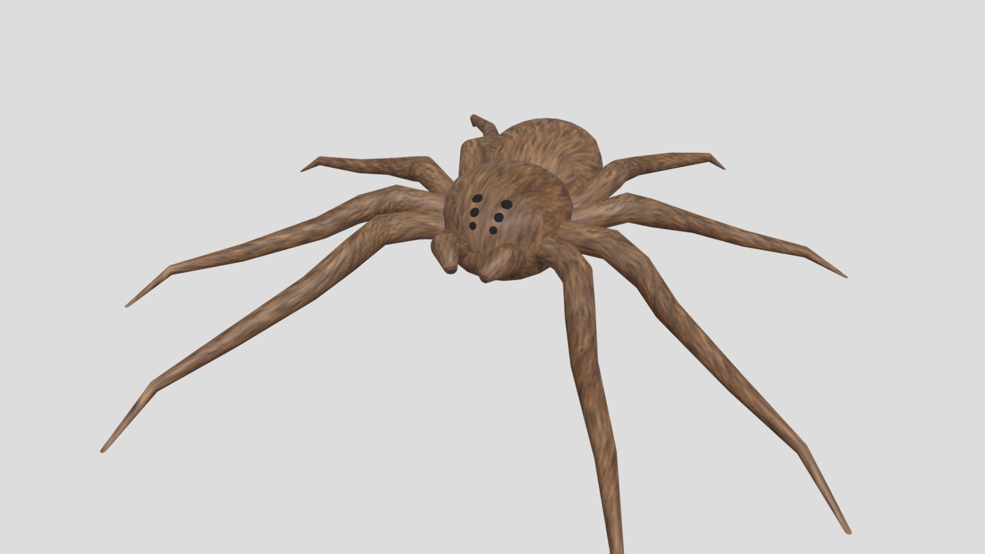 Spider - Download Free 3D model by kilansky [86f3f3c] - Sketchfab