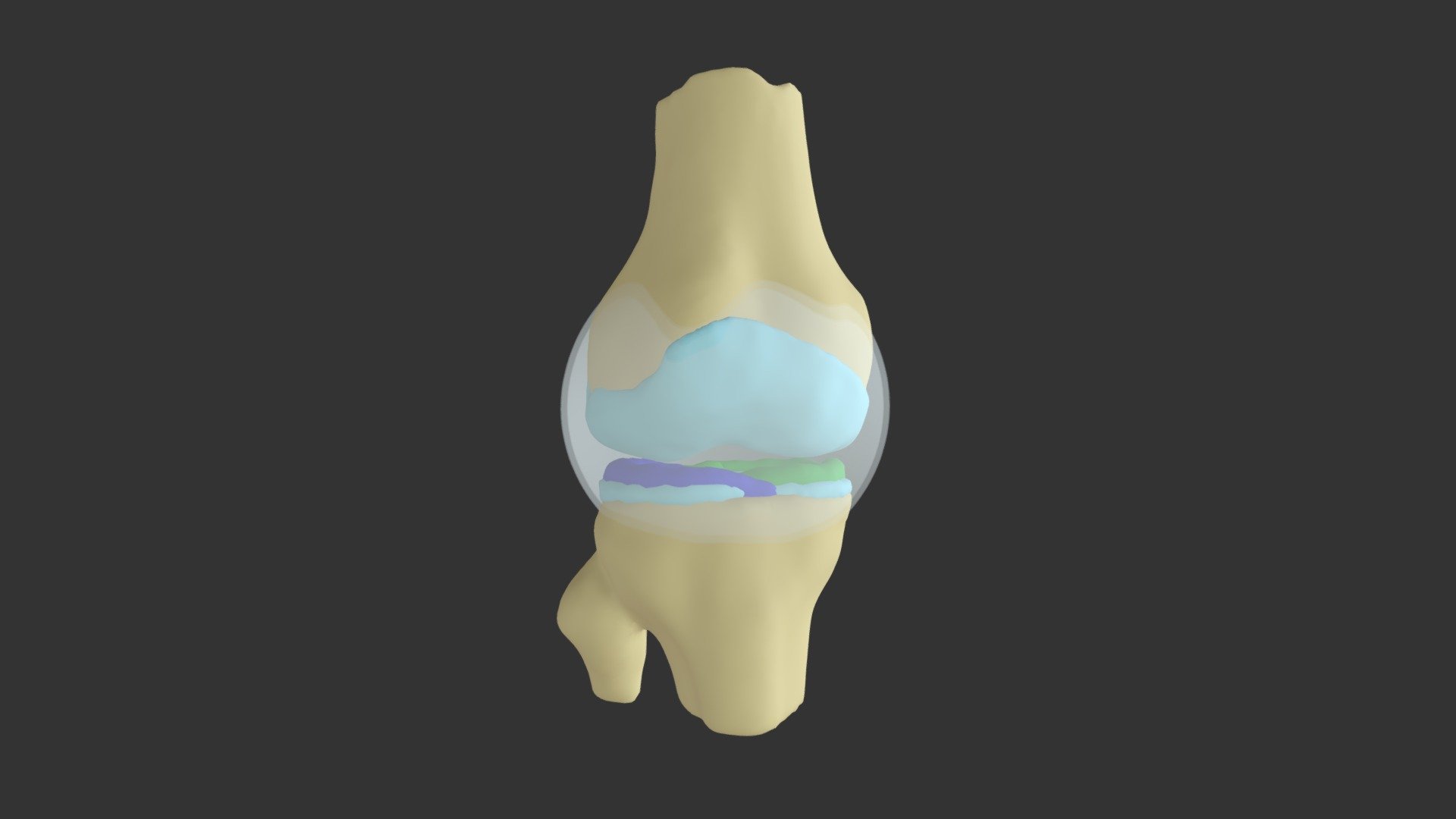 Structures with Fibula labeled - 3D model by leandranikont [86f4d50 ...