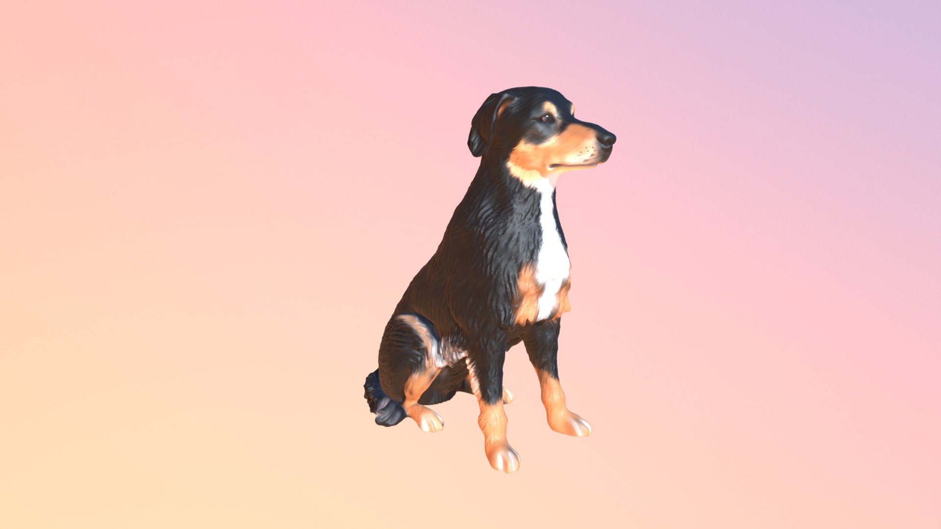 1803018-Dodge Preview - 3D model by Arty Lobster - Pet Sculptures Made ...