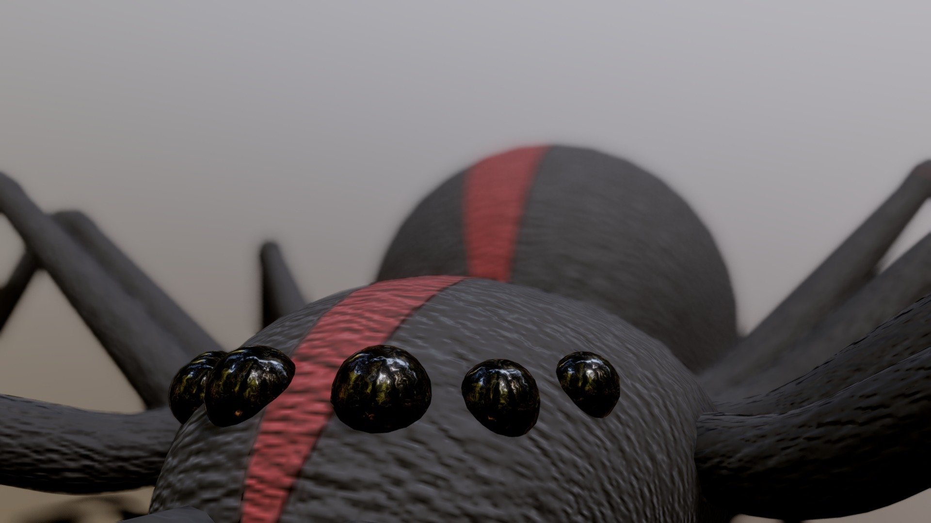 Northern Black Widow Spider - 3D model by ArachnoBoy (@vang807 ...