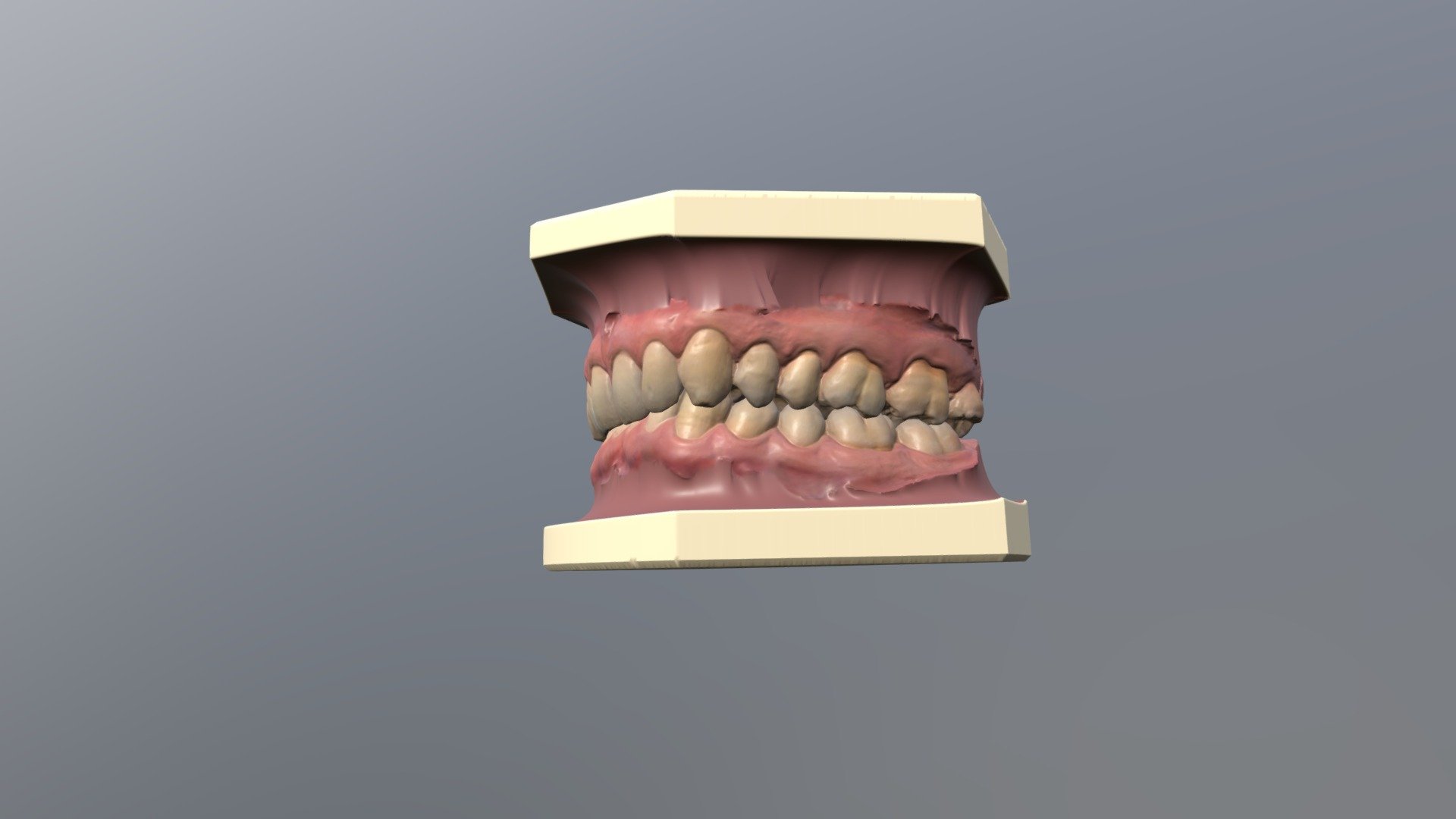 Pri-MA - 3D model by Pulas [87153b9] - Sketchfab