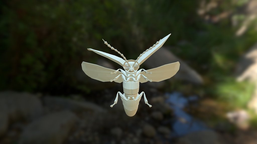 Firefly low poly - Download Free 3D model by livio [8718f13] - Sketchfab