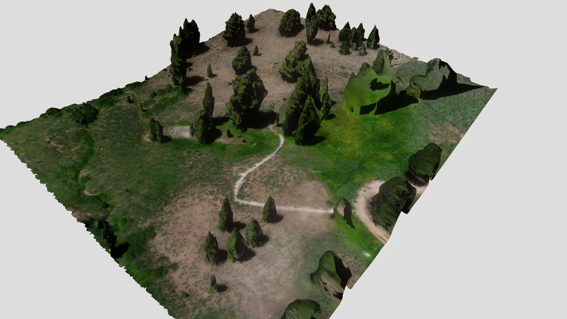 Bennett Juniper Model - 3D model by Jeff Tolhurst (@jewato) [871987f] - Sketchfab