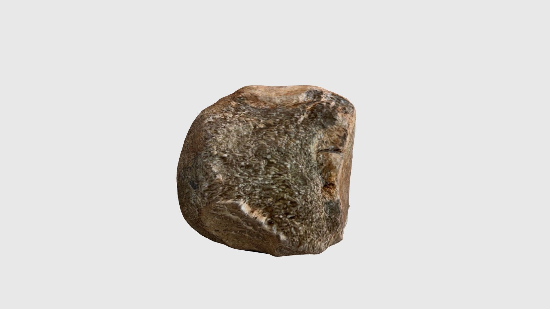 Fossilization Example Petrified Bone - Download Free 3D model by ...