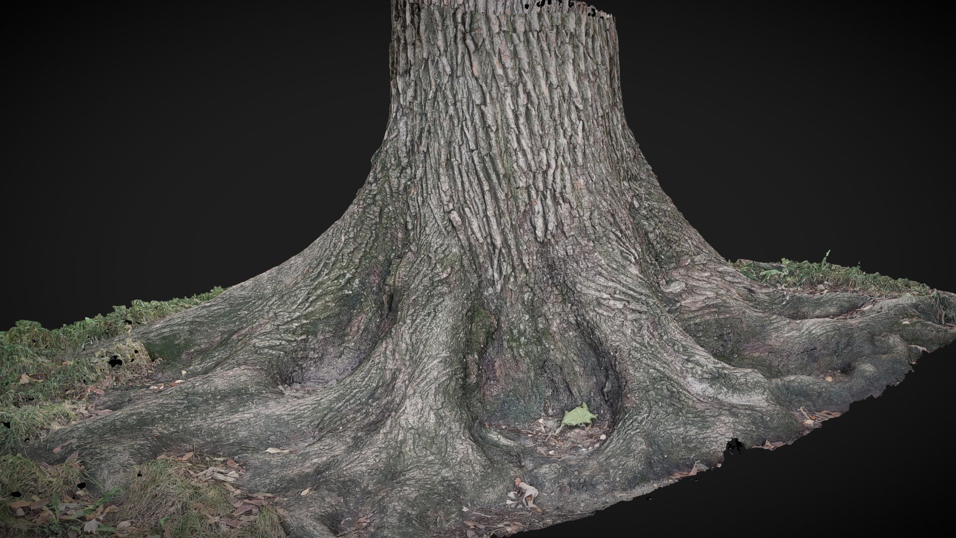 tree bark type 03 - Buy Royalty Free 3D model by 3D assets ...