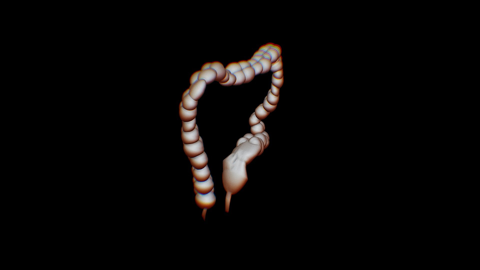 Large Intestine1 - Download Free 3D model by graphicston (@ebensophia ...
