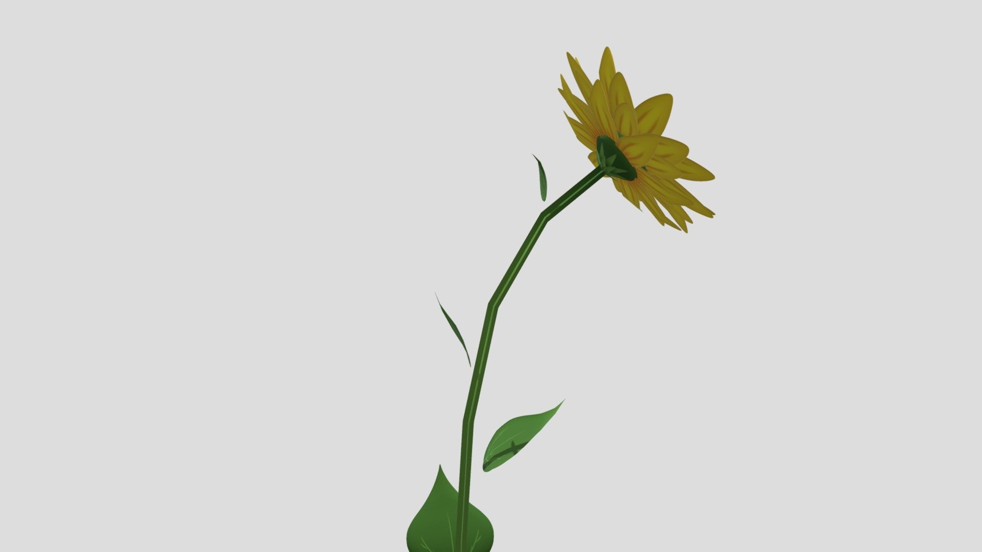 Sunflower huhuhu - 3D model by triliazr [872cd24] - Sketchfab