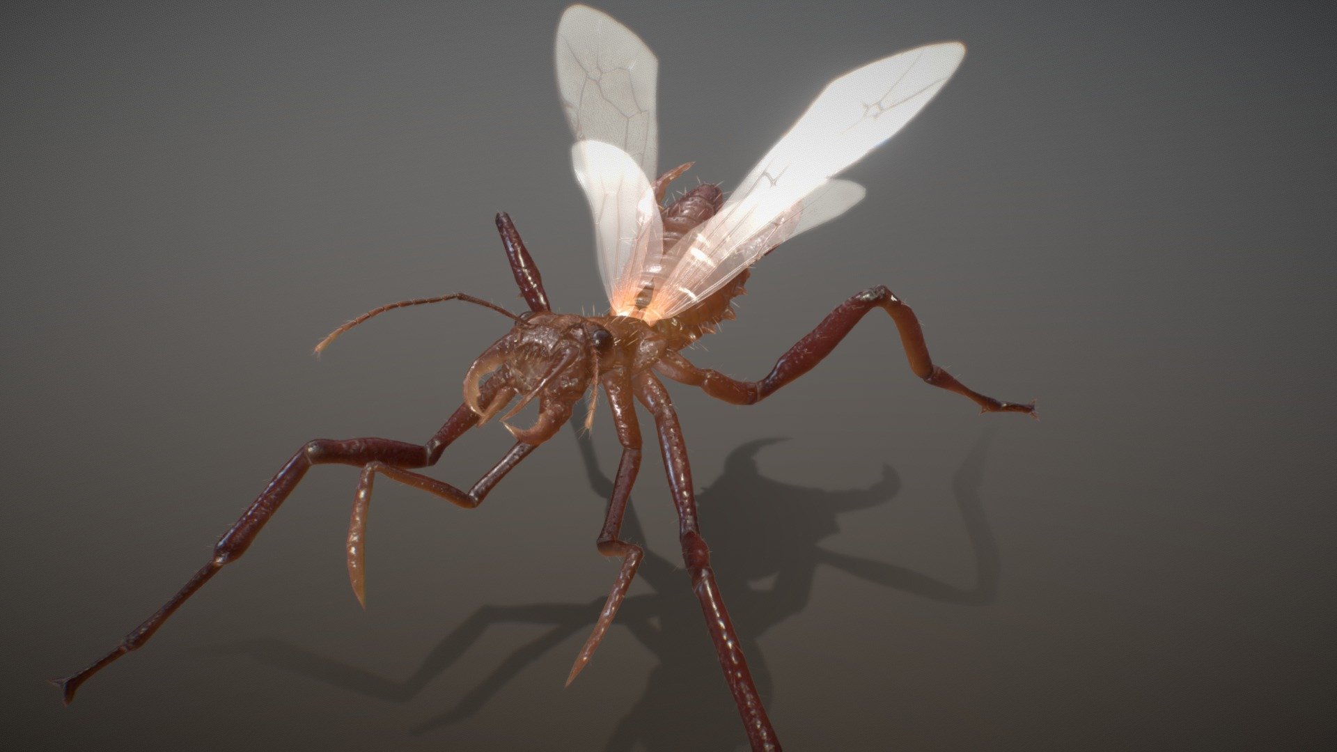 The ant mutant - 3D model by pro100voron [873ff18] - Sketchfab