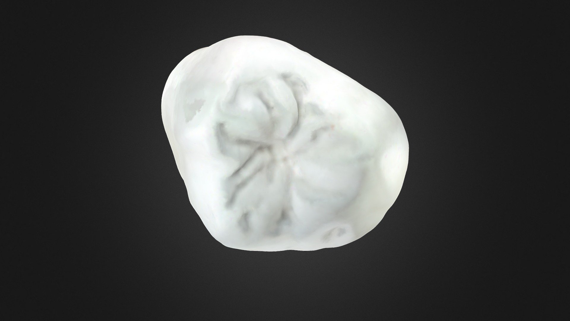 Dente 18 - Third Upper Right Molar (ID 18b) - Download Free 3D model by ...