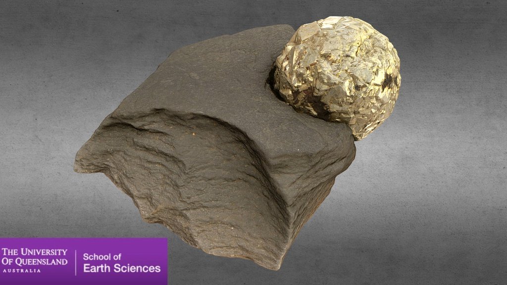 Pyrite Concretion in Carbonaceous Shale - 3D model by nate_siddle ...